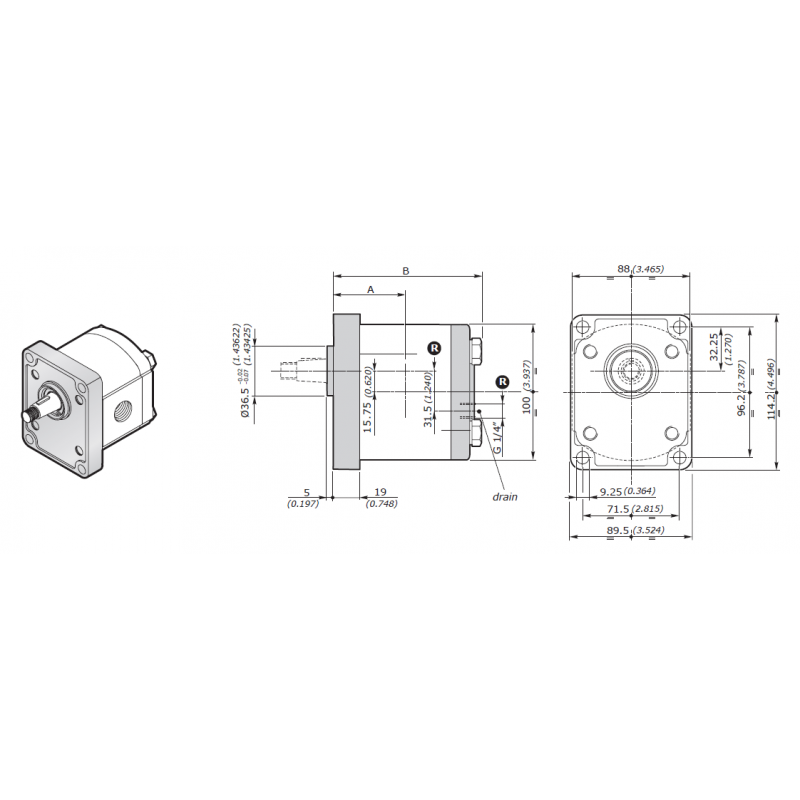 2SM-A-160-R-EUR-H-N-10-0-N